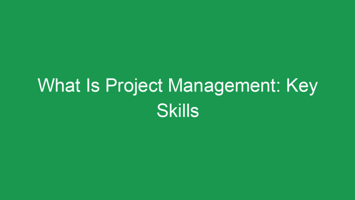 What Is Project Management: Key Skills - techzaru